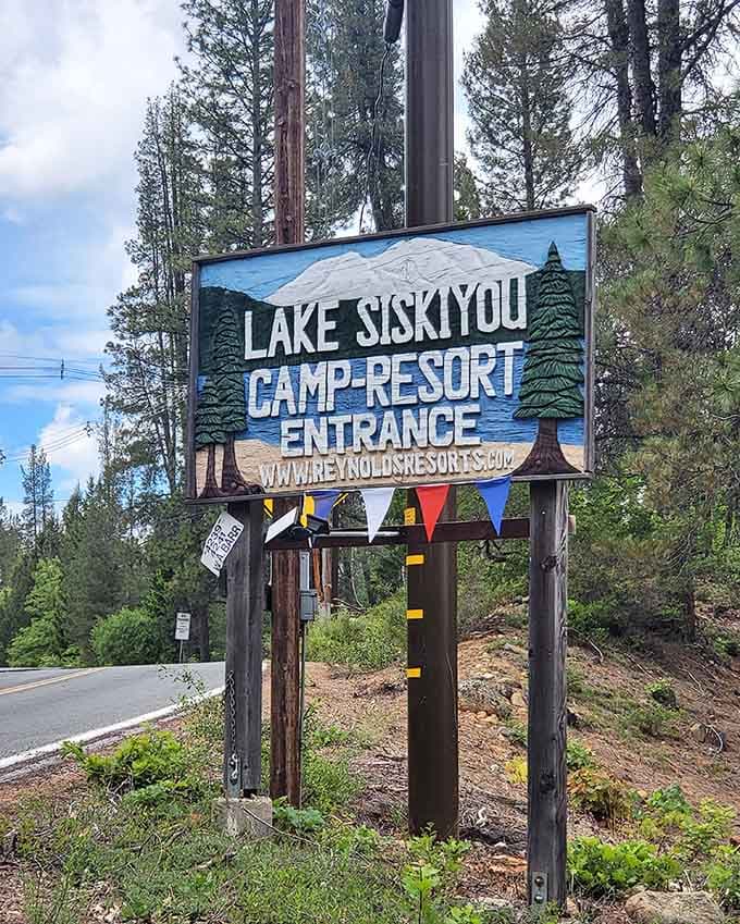 The entrance sign promises adventure, and unlike most promises in life, this one actually delivers every single time.