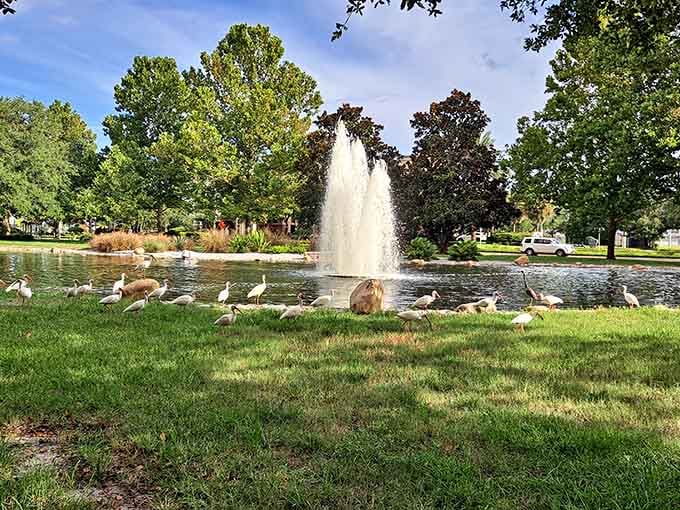 The fountain attracts local waterfowl who've clearly figured out this park is the best address in Largo for waterfront living.