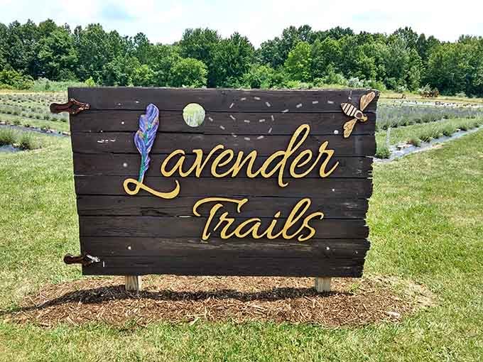 The Lavender Trails sign welcoming you to what might become your new favorite weekend escape destination.