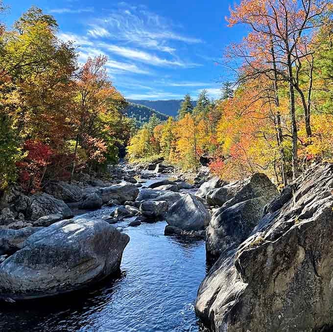 The Linville River in autumn looks like Mother Nature's own postcard, complete with boulder seating for contemplation.