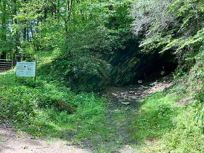 Summer greenery surrounds the cave opening, a cool respite promising mineral discoveries and geological education inside.