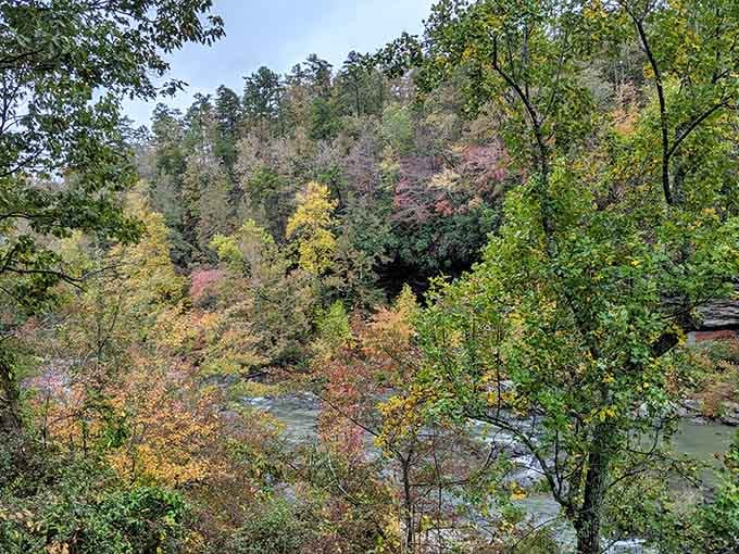 Autumn paints the canyon in colors that would make any artist jealous, no filter necessary for this masterpiece.