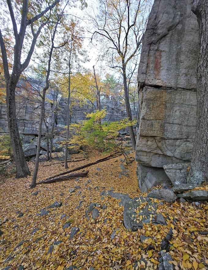 Autumn paints the forest floor gold while massive rock pillars stand eternal&mdash;it's like walking through a postcard.