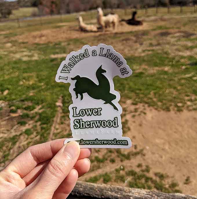Proof you walked with a llama comes in sticker form, perfect for bragging rights everywhere you go.