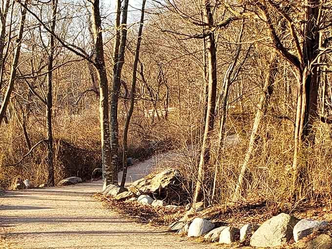 Trails that prove the best therapy doesn't always require an appointment or a copay, just good shoes.