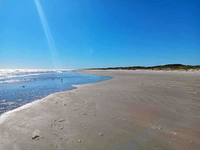 The beach stretches so far you could walk for hours and still find new shells to examine and pockets to fill.