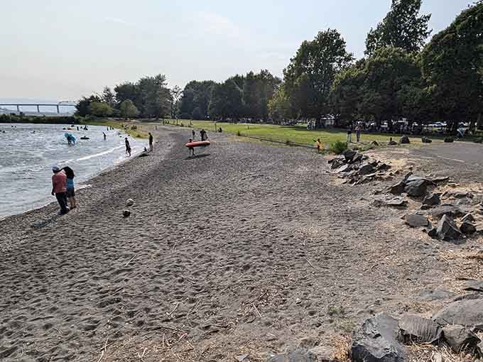 The swimming beach where kids brave the chilly Columbia while adults perfect their gradual entry technique.