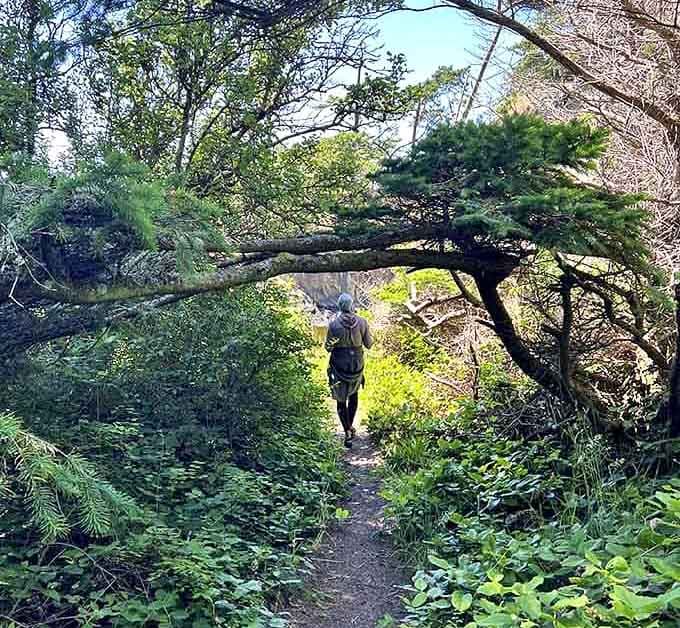 When trees grow sideways over the trail, you duck and smile because nature makes its own rules here.