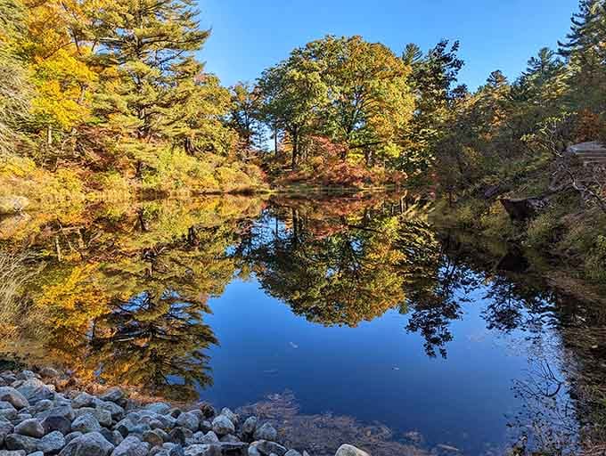Fall transforms the park into a mirror-perfect postcard that'll have your friends asking if you Photoshopped the reflection.