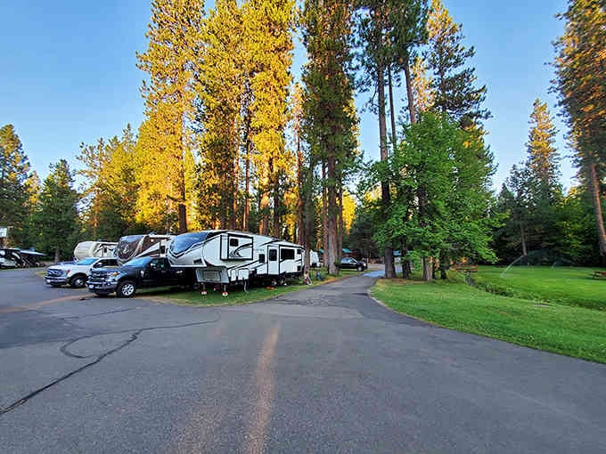 The RV park welcomes road warriors with tree-lined sites that beat any parking lot camping experience by miles.