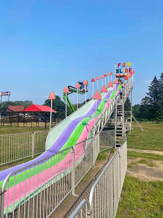 Rainbow-striped slides reaching skyward, delivering that perfect combination of terror and delight that defines childhood summers beautifully.