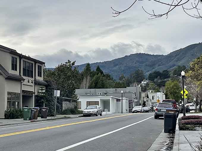 Mount Tam looming in the background like a protective grandparent watching over the town's daily rhythms and routines.