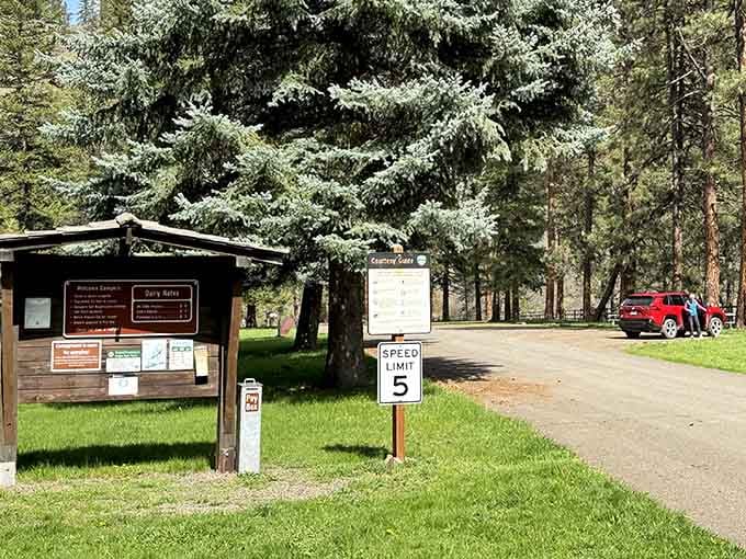 Trail information boards become surprisingly interesting when they're your only connection to the outside world for days.