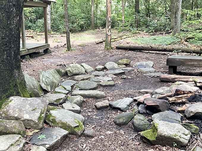 Primitive campsites offer the kind of rustic charm that makes you appreciate indoor plumbing later.