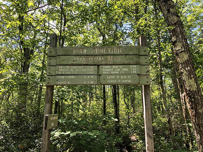 The Appalachian Trail junction sign stands like a wise old friend pointing you toward your next adventure.