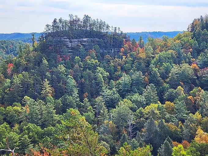 Forest-covered rock outcrops stretch endlessly, reminding you that Kentucky's natural beauty doesn't need Instagram filters to impress.