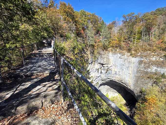 The walkway gives you front-row seats to millions of years of Earth's patient handiwork.