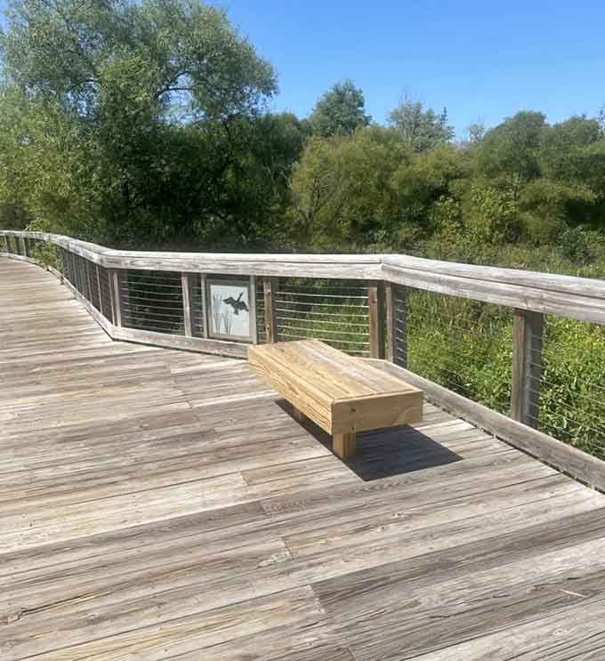 Strategic benches appear exactly when your legs need them, like the park designers actually walked this thing.