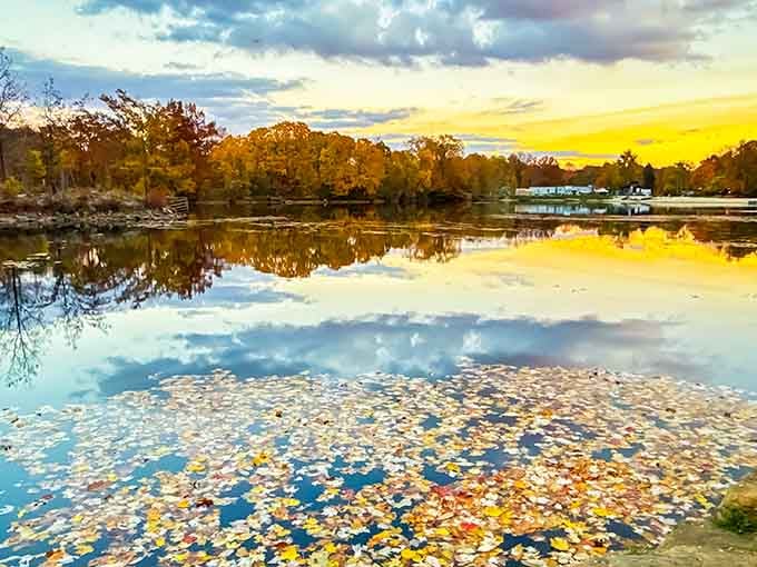 Autumn leaves floating on mirror-still water create a scene that belongs on a jigsaw puzzle box.