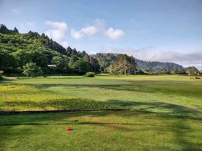 The golf course winds through coastal landscape where even a terrible swing comes with spectacular views as consolation.