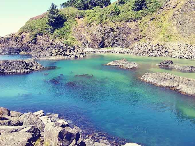 These tide pools hold more drama than a soap opera, with better special effects and actual stakes.