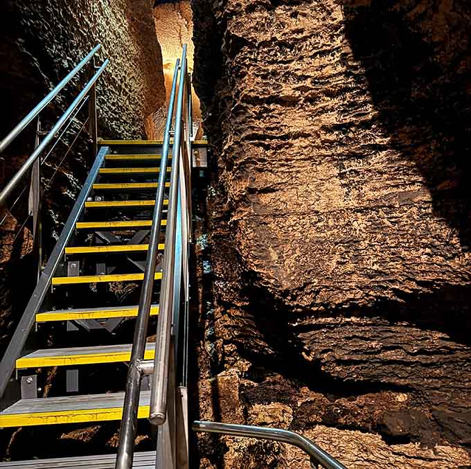 These aren't your grandma's basement stairs, unless she lives in the most spectacular basement ever created.