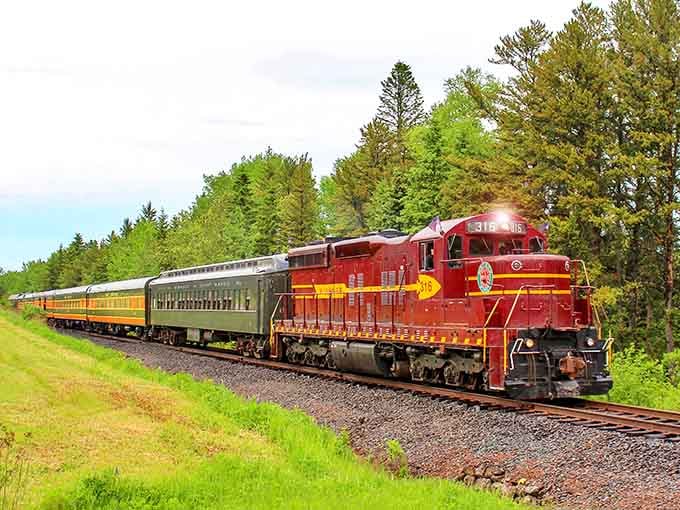 That red locomotive cutting through spring greenery creates a postcard you didn't know you desperately needed to see.