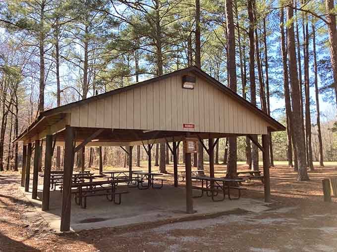 This covered pavilion offers shade, picnic tables, and protection from rain that always seems to arrive right at lunchtime.