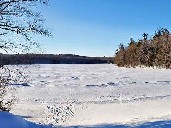 Winter transforms the lake into a frozen wonderland, perfect for those who enjoy their nature extra crispy.
