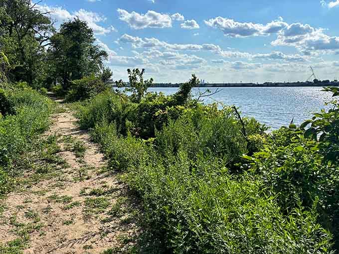 Summer trails hug the riverbank, offering glimpses of water through green curtains of leaves and branches.