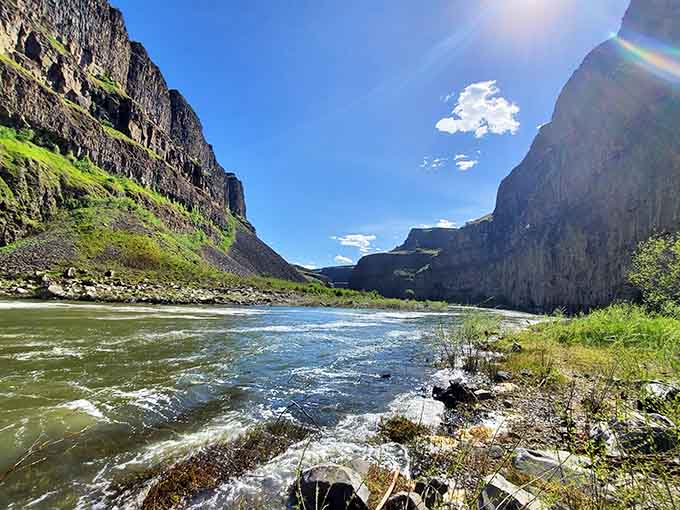 Sunlight flooding the canyon floor where the river carves its ancient, unhurried path between towering basalt walls.