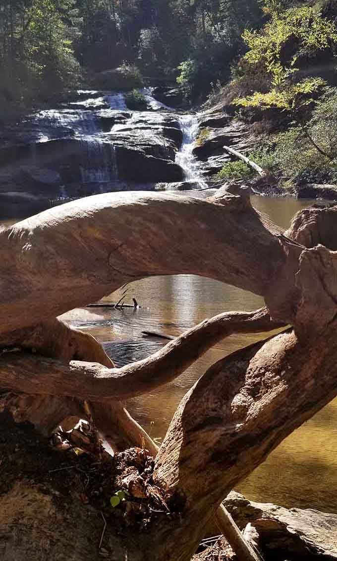 Driftwood frames the waterfall like nature hired its own interior designer for this view.