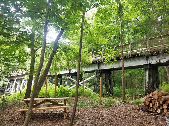A simple trailhead with benches and information kiosk welcomes visitors to begin their journey through South Carolina's natural beauty.