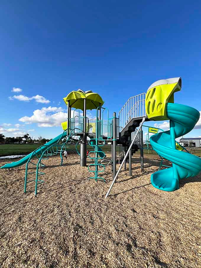 Murphy Park's playground equipment means kids can burn energy while parents enjoy actual shade trees.