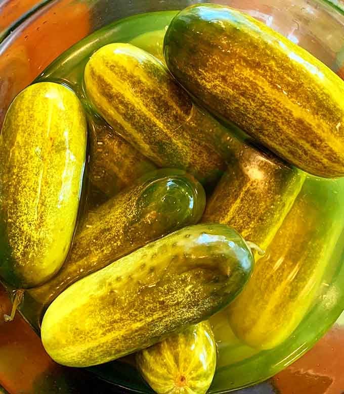 These aren't your average grocery store pickles, they're the stars of the show and they know it.