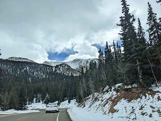 Winter transforms the drive into a frosted wonderland where every turn feels like entering Narnia's parking lot.