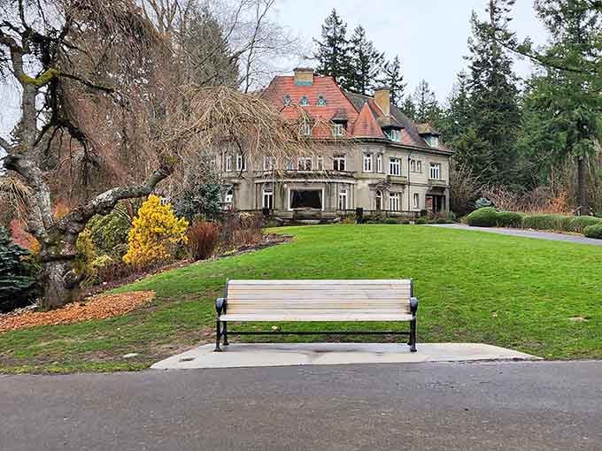 A peaceful bench offering views that make you forget you're minutes from downtown Portland's coffee-fueled chaos.
