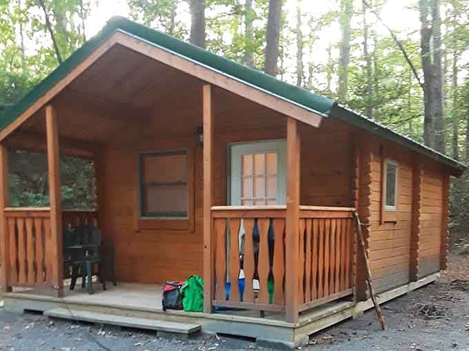 Cozy cabins offer civilization's comforts while keeping you immersed in wilderness that surrounds completely.