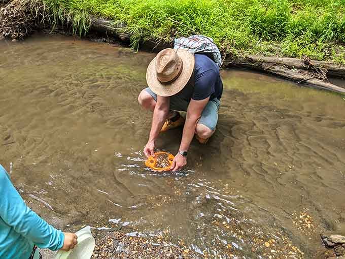 Serious fossil hunters know that patience and a good sifting technique are the keys to uncovering ancient treasures.
