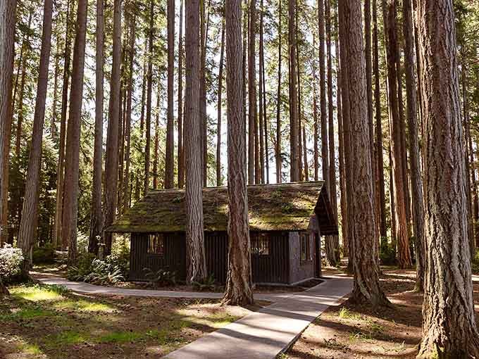 Kitsap Memorial State Park hides a charming cabin among towering trees, like a fairy tale minus the witch.