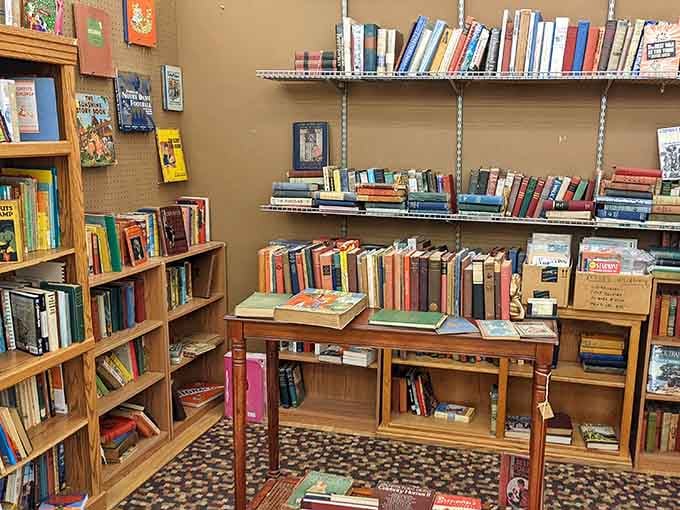 Books stacked on vintage shelves, where real pages and actual bindings still matter to those who remember libraries.