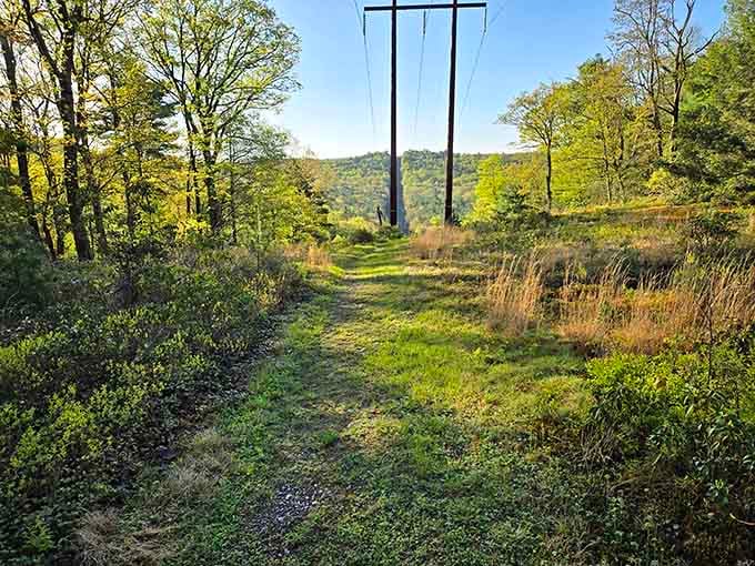 Power lines cross the meadow trail where wildflowers bloom and hikers discover that getting lost sometimes means finding yourself.