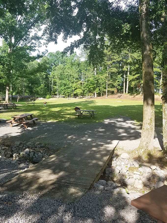 Shaded picnic areas where you can actually relax without sand invading every single crevice imaginable.