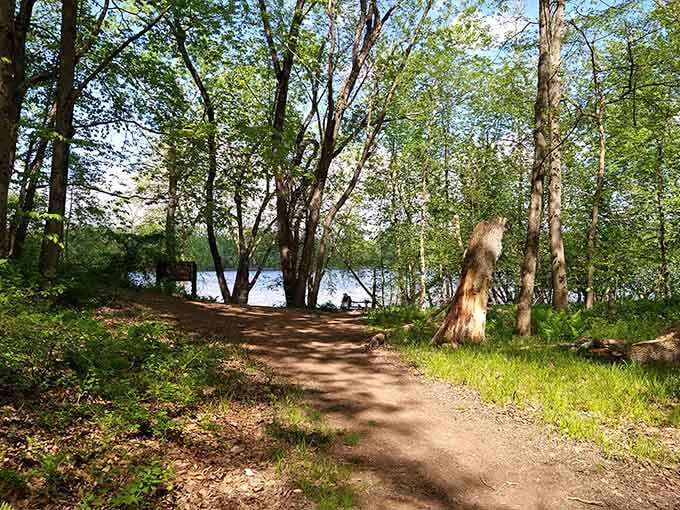 The kind of path that makes you forget you're technically exercising while you're walking on it.
