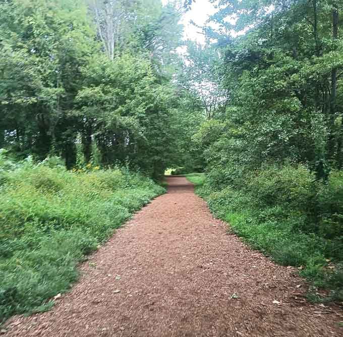 Wide, welcoming paths like this make you wonder why you ever thought hiking required special athletic abilities.