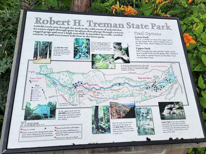 The park map reveals twelve waterfalls waiting to be discovered, which beats any treasure map ever drawn.