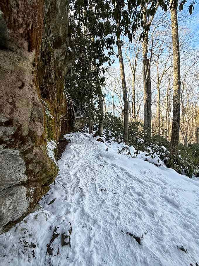 Snow transforms familiar passages into winter wonderlands, proving this maze delivers magic in every season of the year.