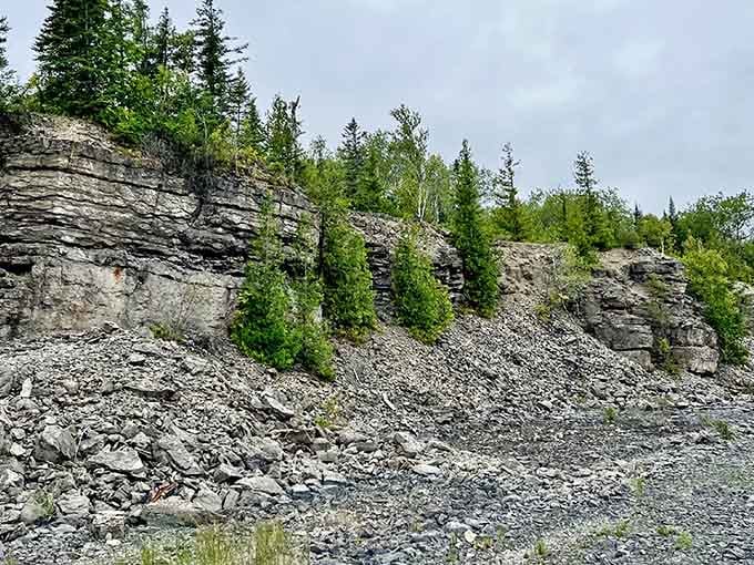 Those exposed limestone layers tell stories older than dinosaurs, making your Monday morning meeting seem refreshingly insignificant by comparison.