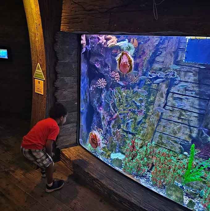 Young explorers discover that the best classroom doesn't have desks, just thousands of gallons of wonder all around them.