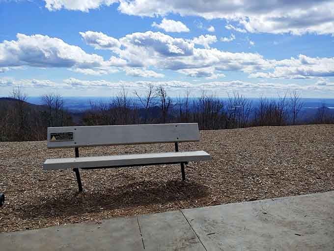 A bench with a view that makes every other bench you've ever sat on seem woefully underachieving.